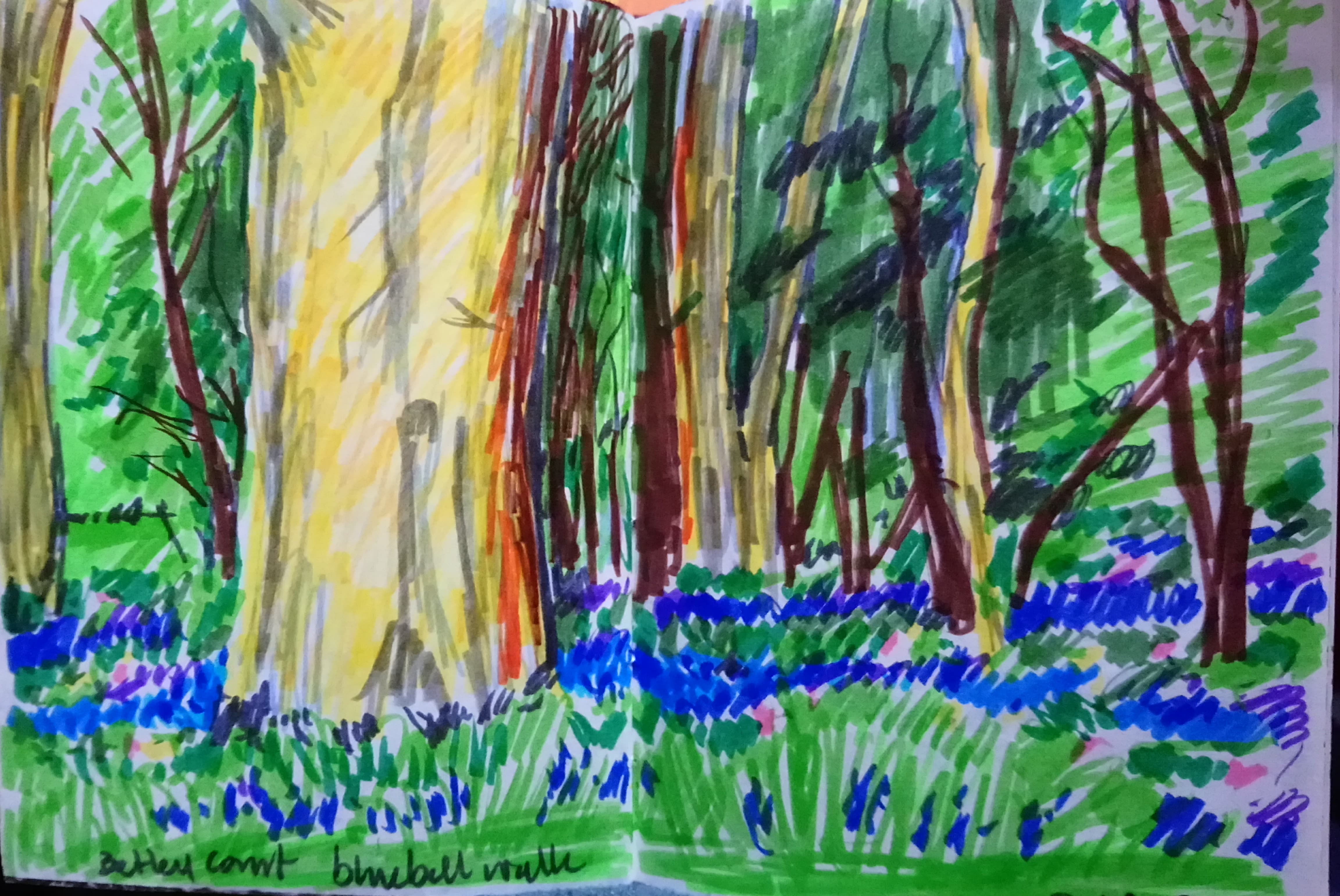Bluebell walk – Mallaband-Brown