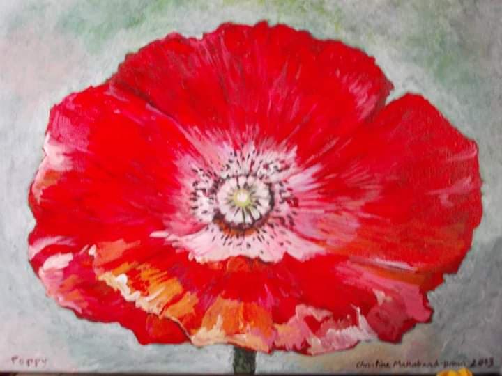 My favourite poppy painting – Mallaband-Brown