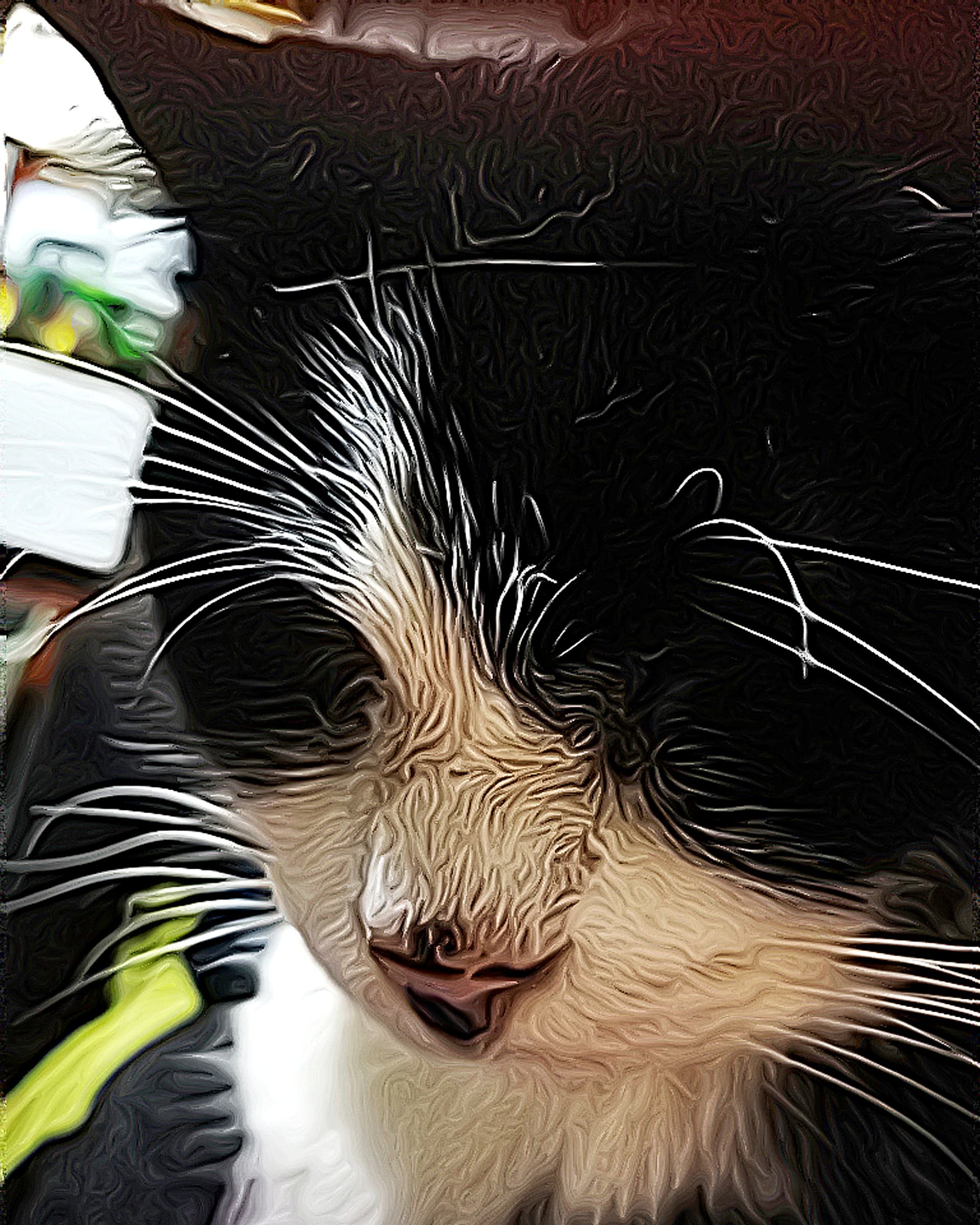 Being pestered on Instagram – Mallaband-Brown