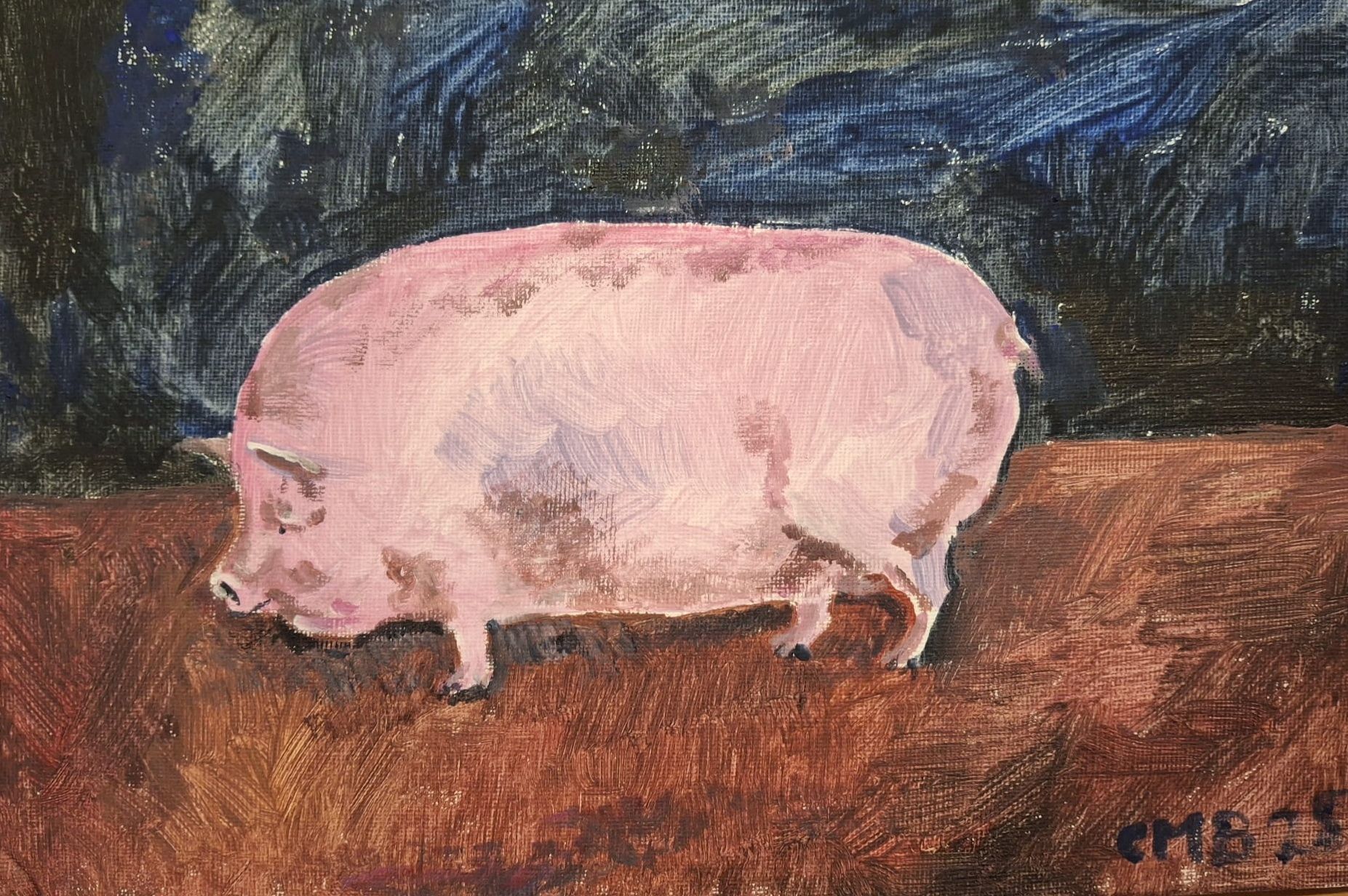 Square pig – Mallaband-Brown