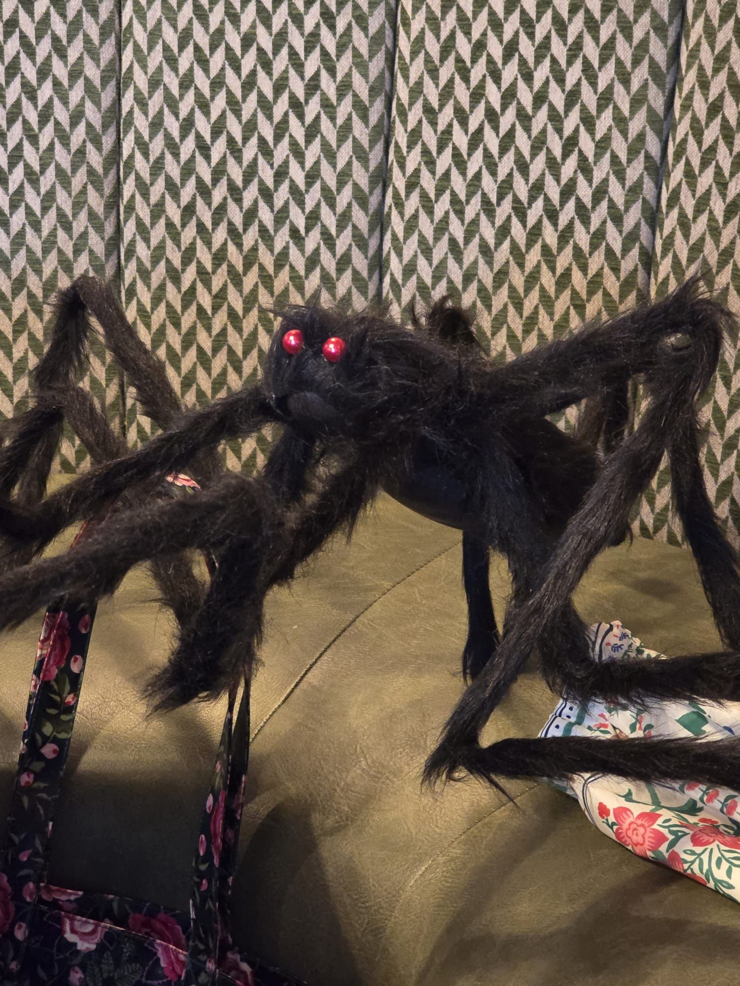 TRIGGER.. .Spider Time – Mallaband-Brown