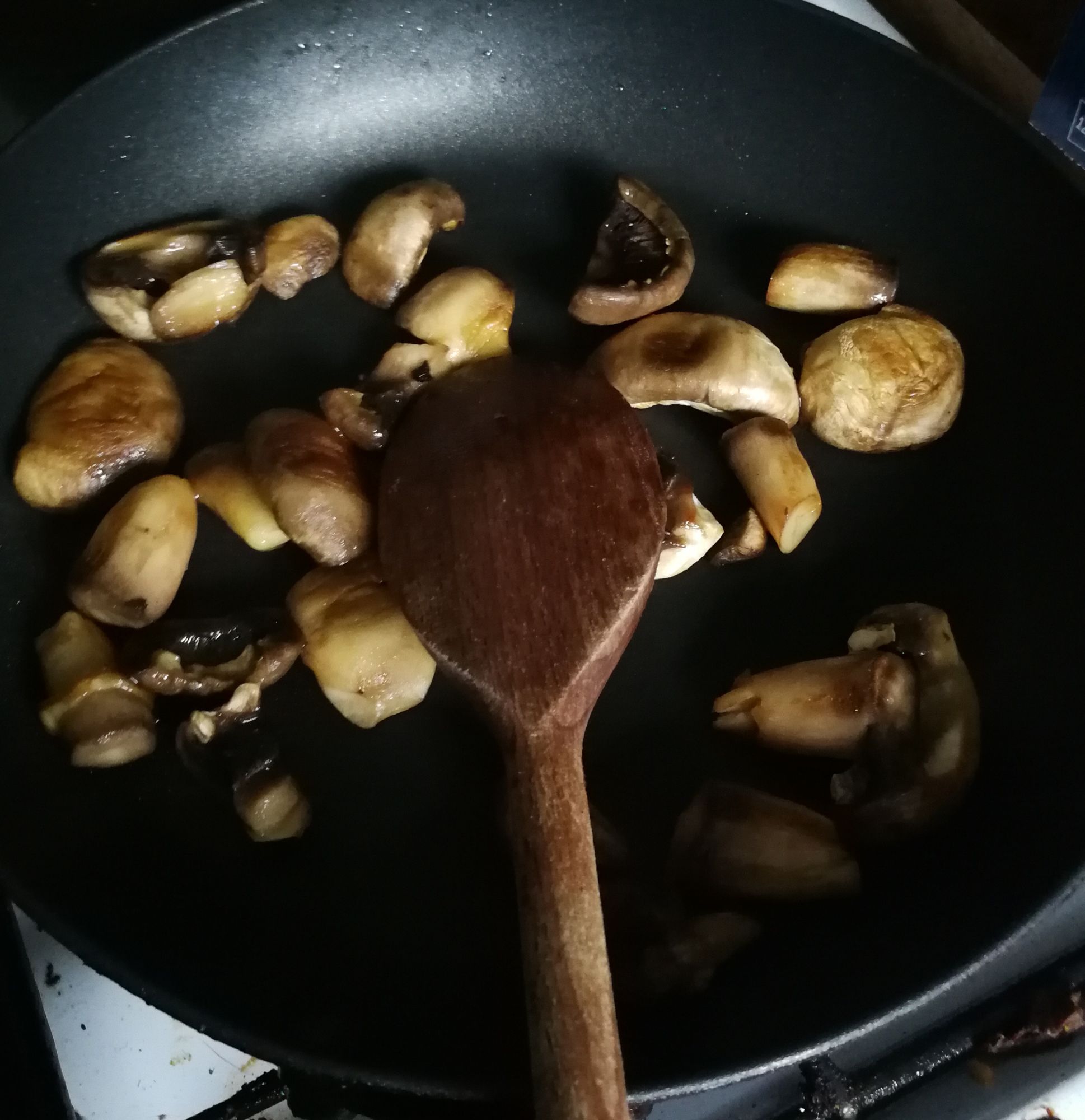 Mushroom tree – Mallaband-Brown